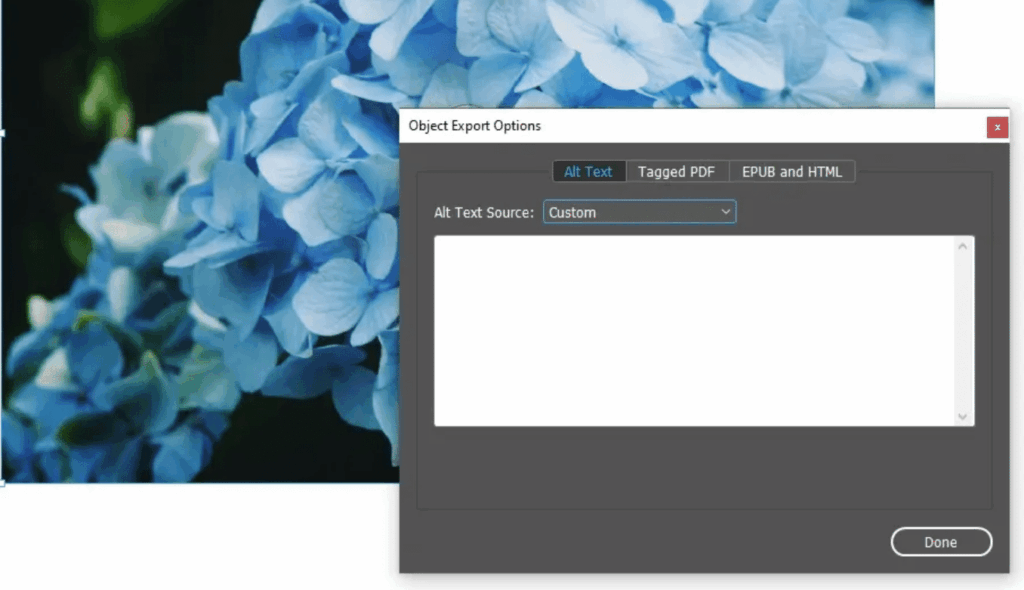 How to Write Alt Text for Images | Accessibility Guide